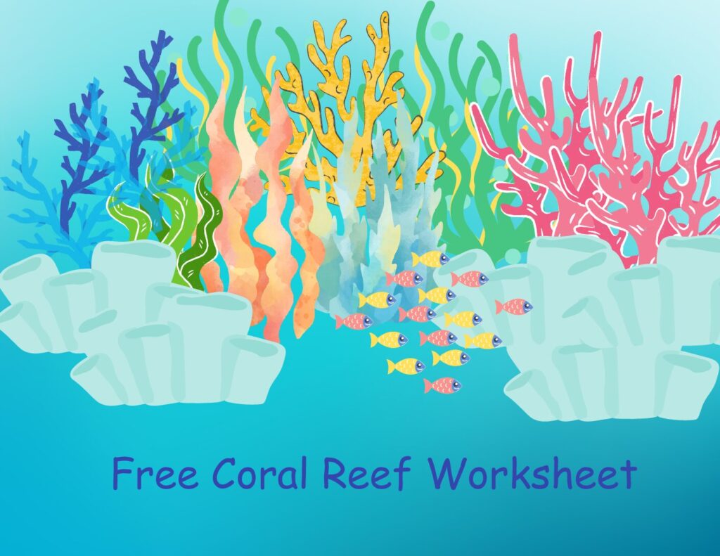 fact sheets Archives - kid fun life